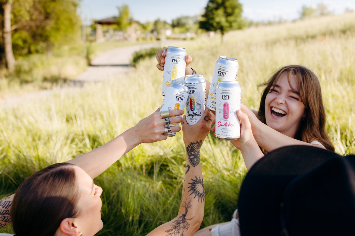 CHOOSE YOUR ADVENTURE - VARIETY SWITCHEL PACK | ERTH Beverage Company