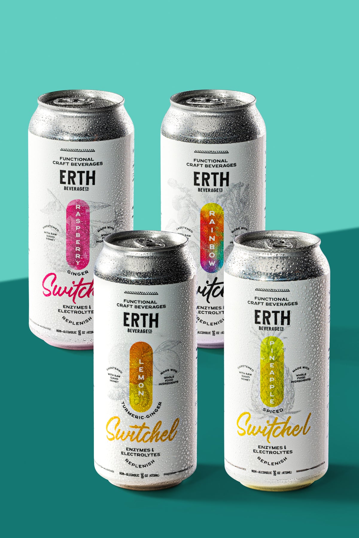 CHOOSE YOUR ADVENTURE - VARIETY SWITCHEL PACK | ERTH Beverage Company